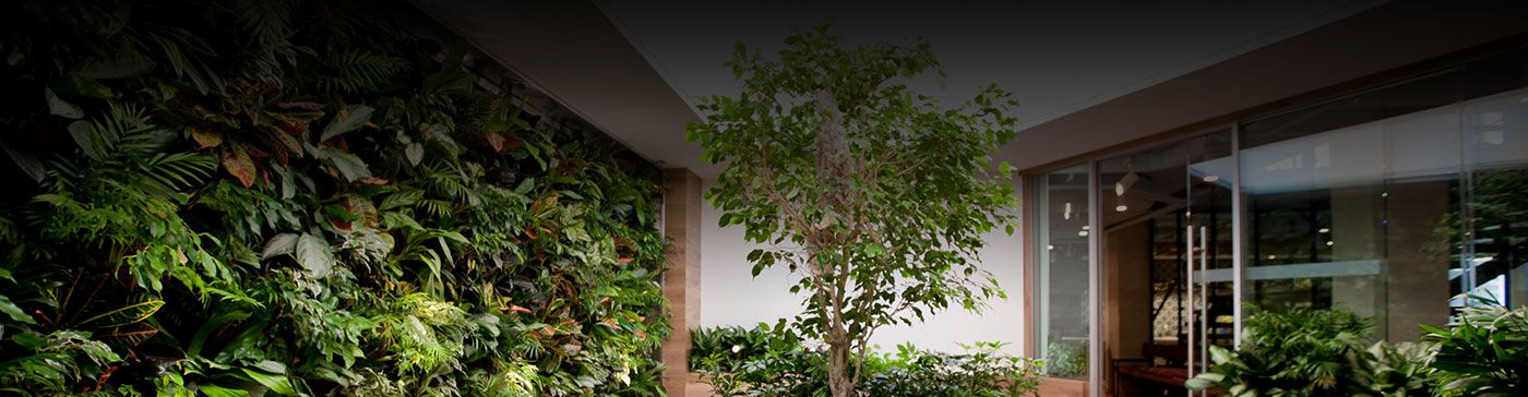 Sustainability & Wellness - Orr Partners